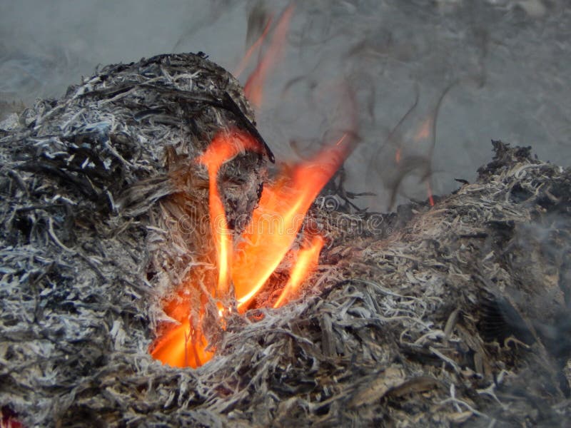 Burning yard trash stock image. Image of cleaning, trash - 71207217