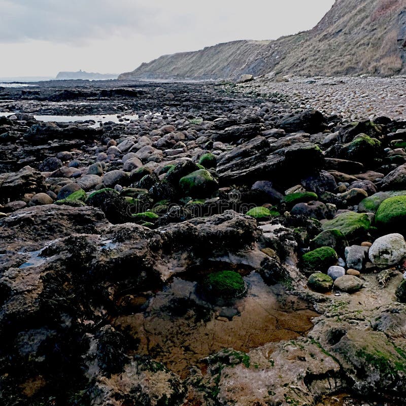 Burniston North Yorkshire Coast England Stock Photo - Image of green ...