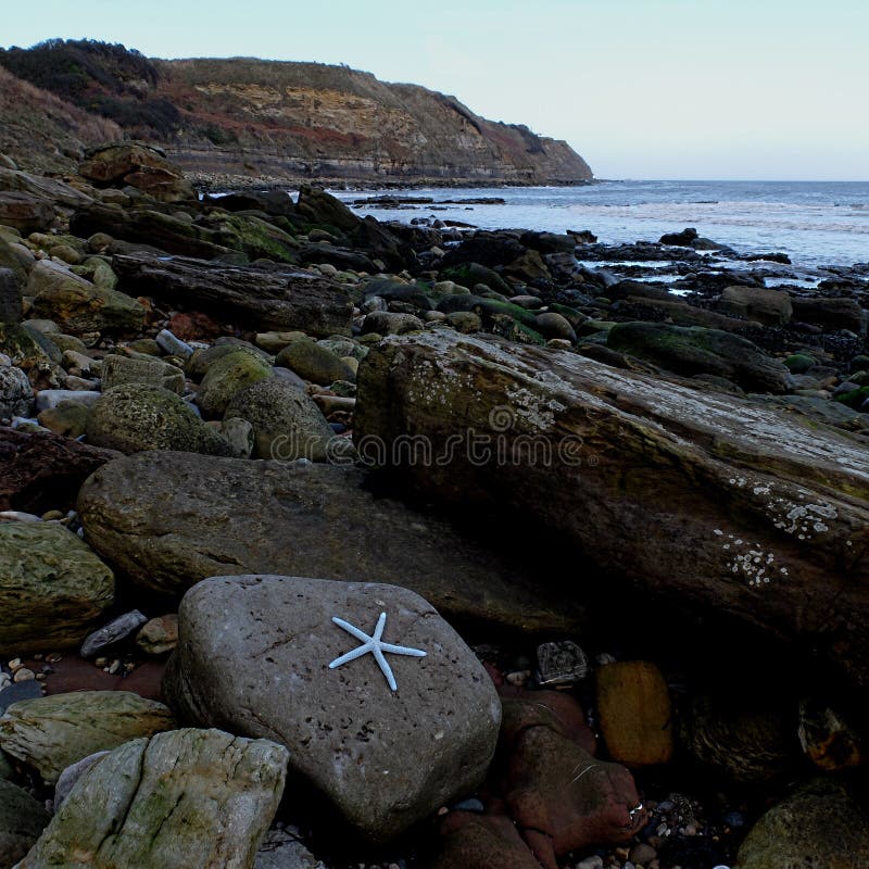 Burniston North Yorkshire Coast England Stock Photo - Image of green ...