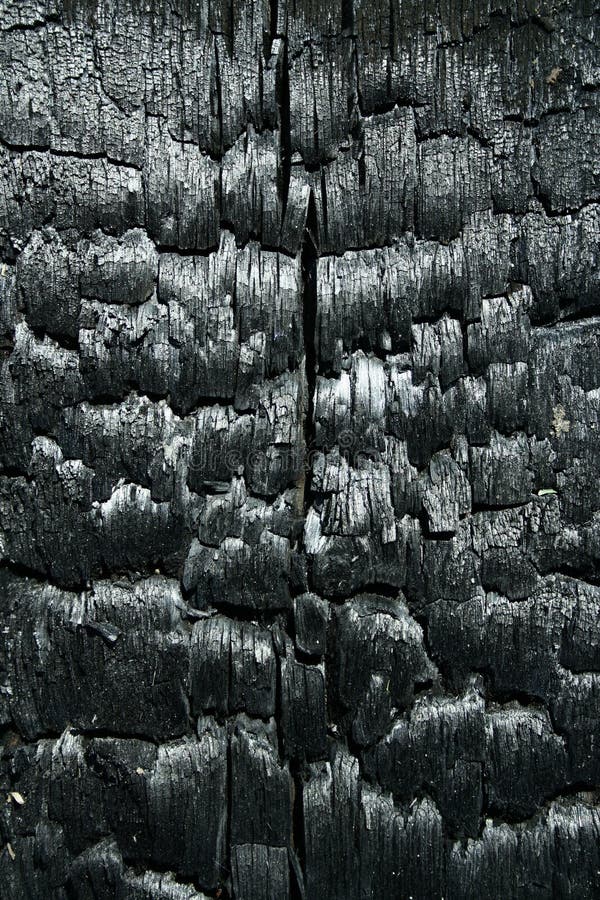 Burnt toast background stock photo. Image of macro, closeup - 1845608