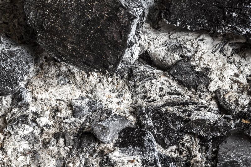 Burnt ash close-up stock photo. Image of drought, dust - 197947080