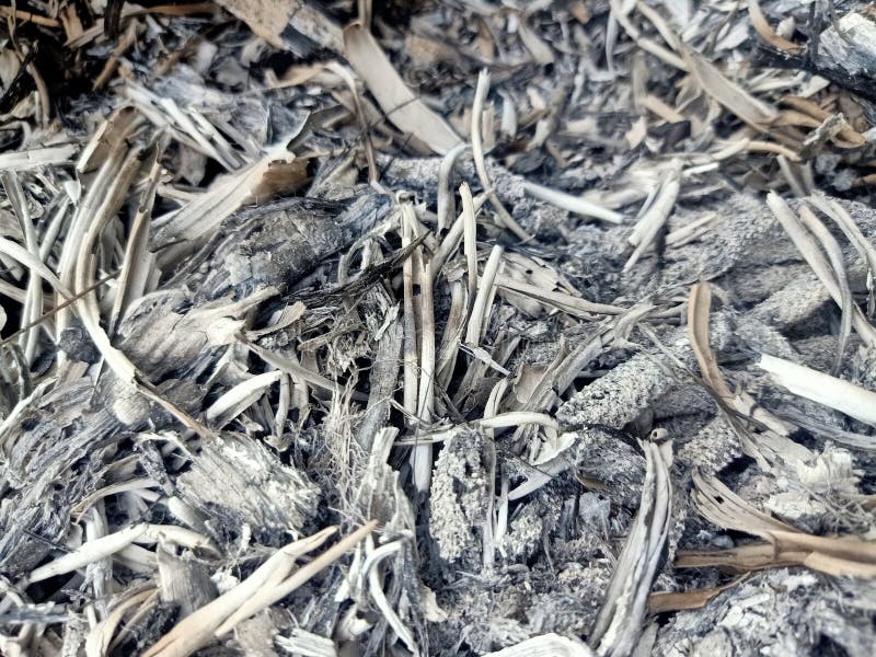 Burnt Ash Splashes Stock Photos - Free & Royalty-Free Stock Photos from ...