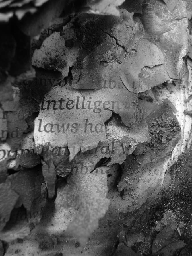Burnt Book Magazine Text Creative Stock Image - Image of classifieds ...