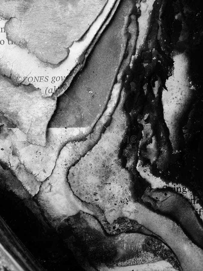 Burnt Book Magazine Text Creative Stock Image - Image of communication ...