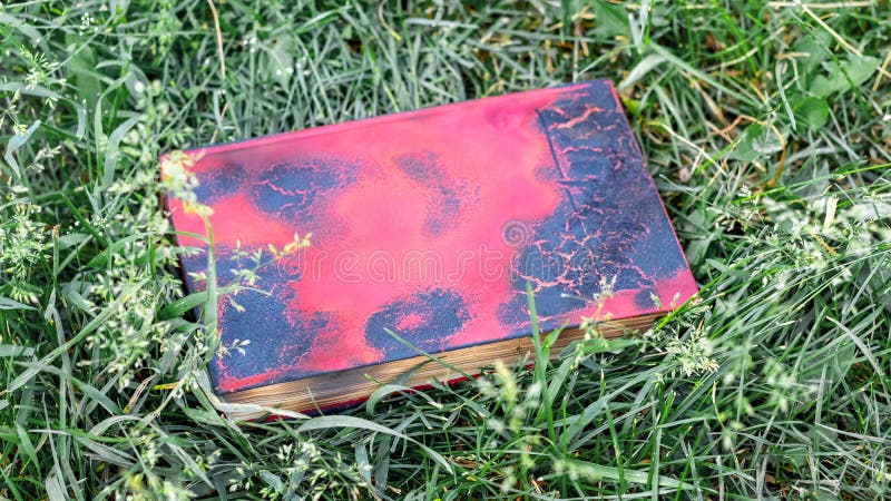 Burnt Book with Red Binding in the Garden on the Grass. a Discarded ...