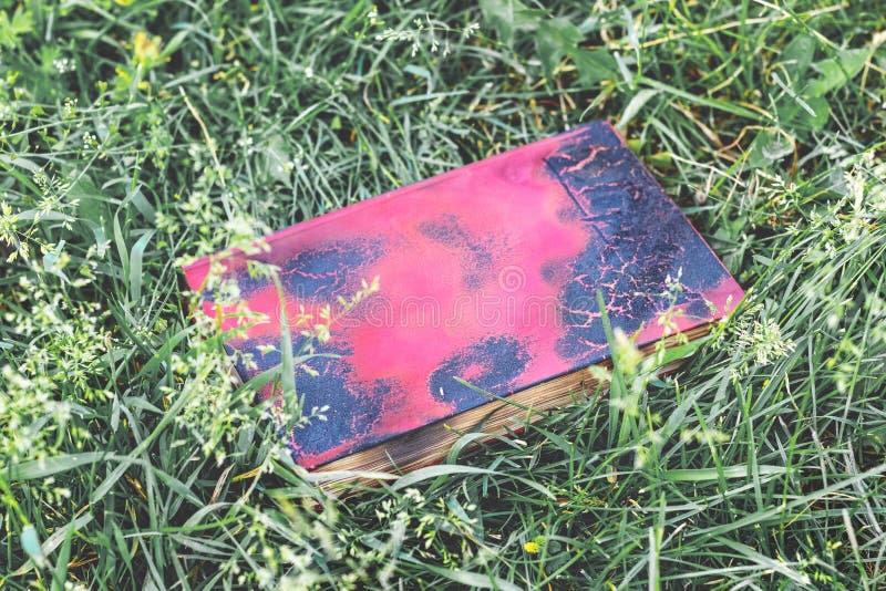 Burnt Book with Red Binding in the Garden on the Grass. a Discarded ...