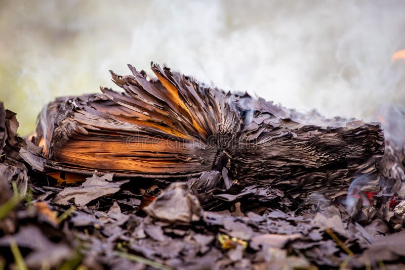 Burnt Books on a Pile of Ashes in the Smoke, Destruction of Books Stock ...