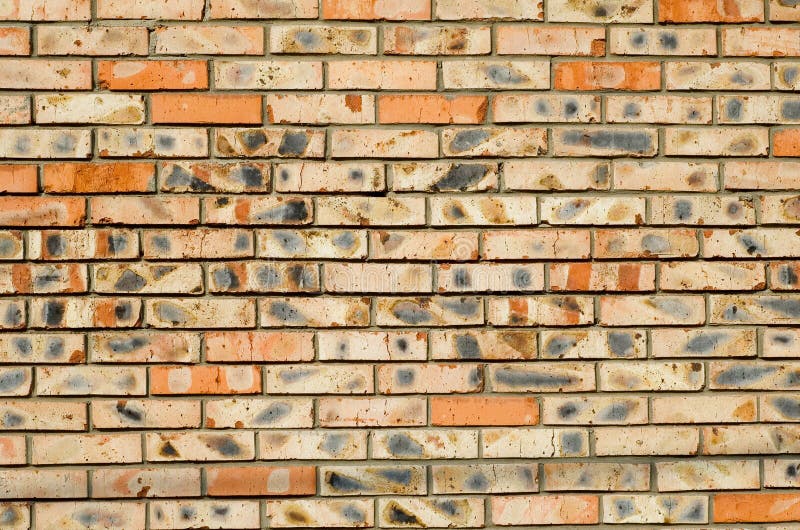 Burnt bricks stock photo. Image of laying, building, lining - 1163218