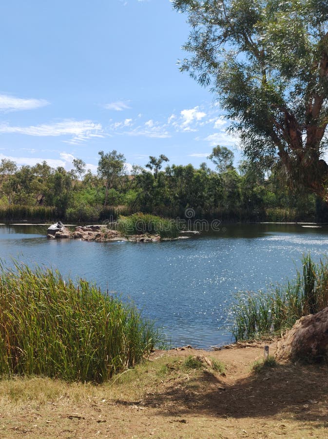 Water and greenery stock photo. Image of water, green - 235576776