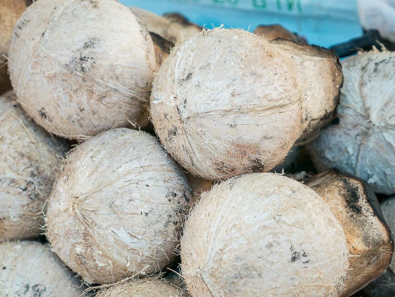 Burnt Coconut Shell Charcoal Pieces Abstract Surface Texture Stock ...