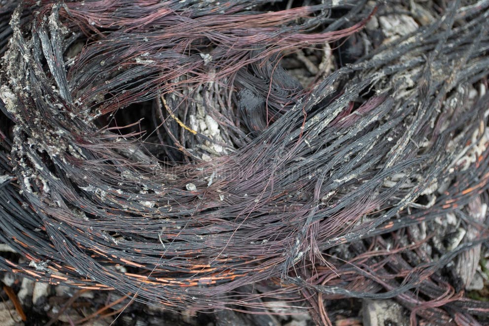 Burnt Copper Metal Wires for Scrap Metal Stock Image - Image of wires ...