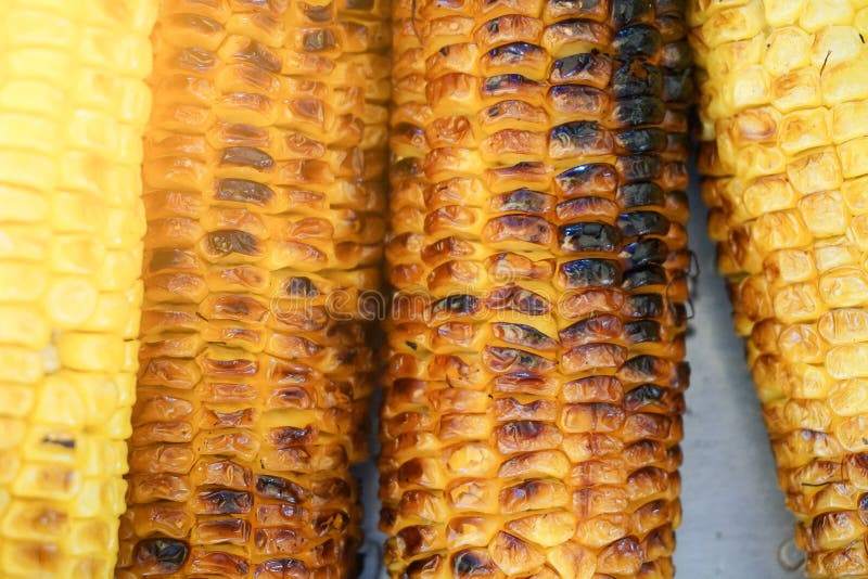 Burnt Corn - close up. stock photo. Image of fire, picnic - 110891446
