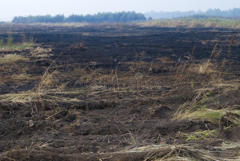 Burnt field stock image. Image of catastrophe, grass - 31592791