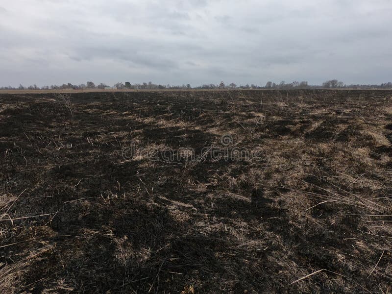 Burnt Field. Place of Environmental Disaster Stock Photo - Image of ...