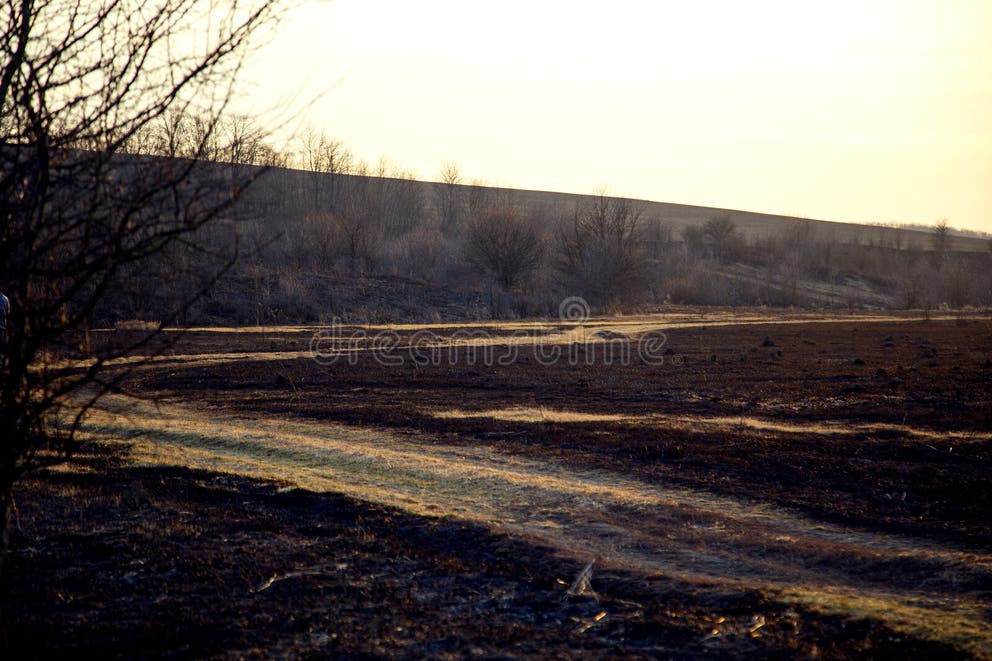 A Burnt Field with Trees during a Wildfire. Burnt Valley after the ...