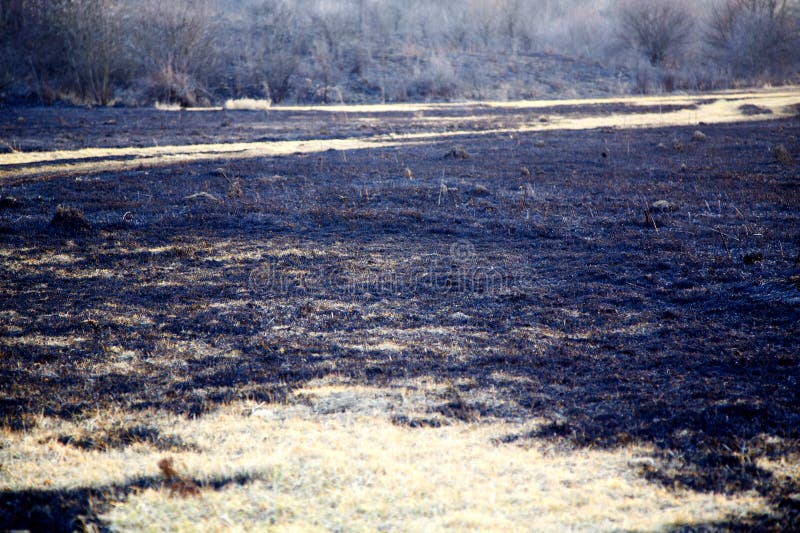 Wildfire after Spring Festival Stock Image - Image of yard, door: 147964209