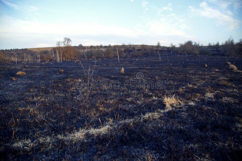 Wildfire after Spring Festival Stock Image - Image of yard, door: 147964209