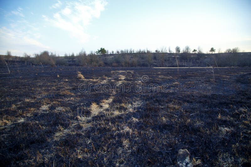 Wildfire after Spring Festival Stock Image - Image of yard, door: 147964209