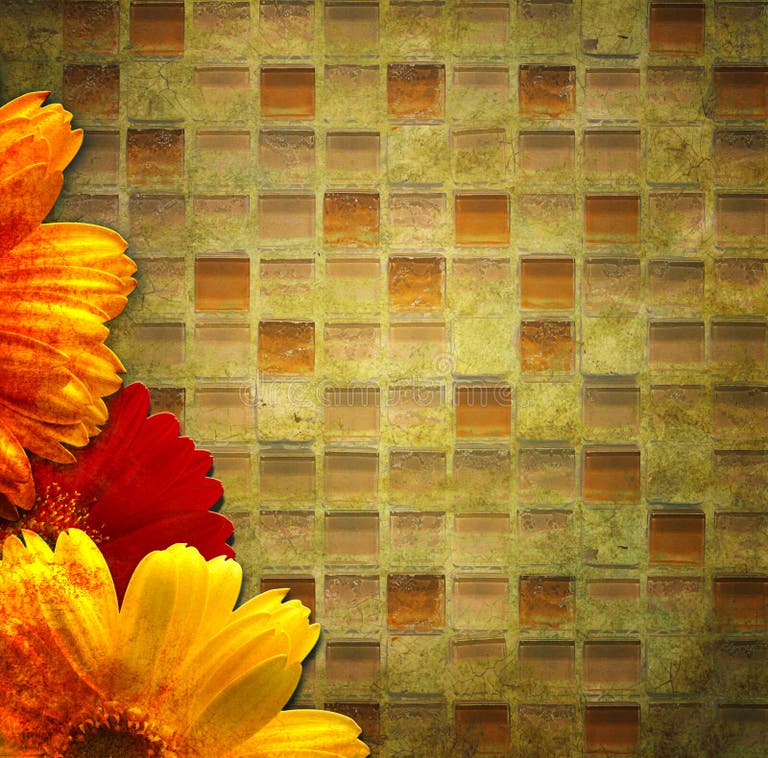 Burnt floral background stock photo. Image of daisy, artistic - 16950578