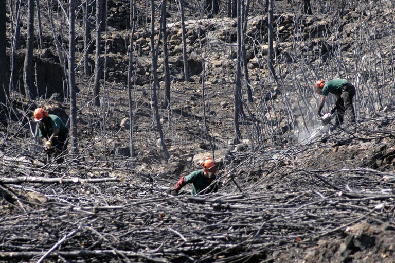 868 Black Forest Wood Working Stock Photos - Free & Royalty-Free Stock ...