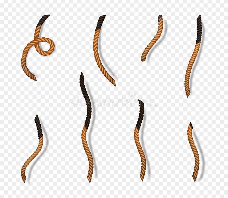 Burnt Fuse Wick Rope from Dynamite or Bomb Stock Vector - Illustration ...