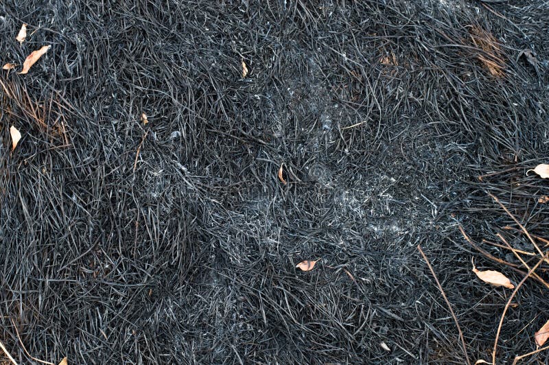 Burnt grass, burnt ground stock image. Image of wallpaper - 100775823
