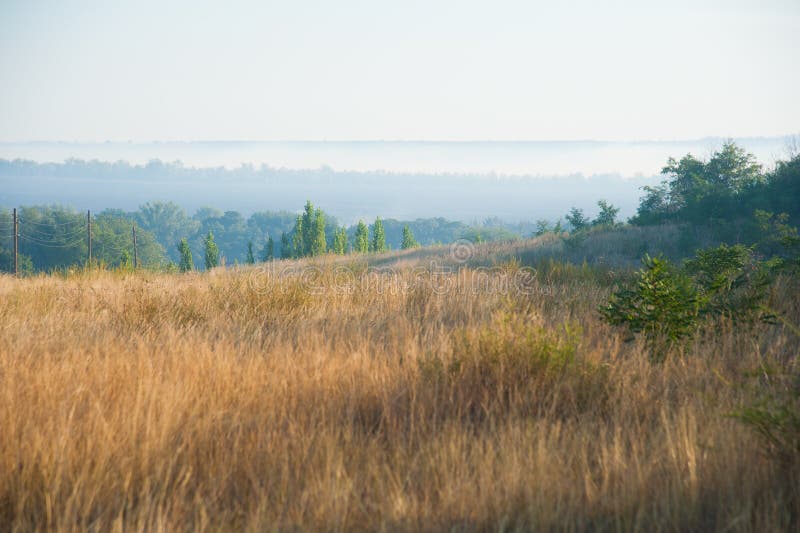 Burnt Grass, Landscape Fire Stock Photo - Image of wildfire, smoke ...