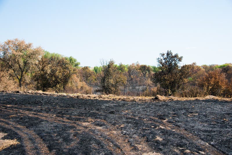 Burnt Grass, Landscape Fire Stock Image - Image of wildfire, field ...