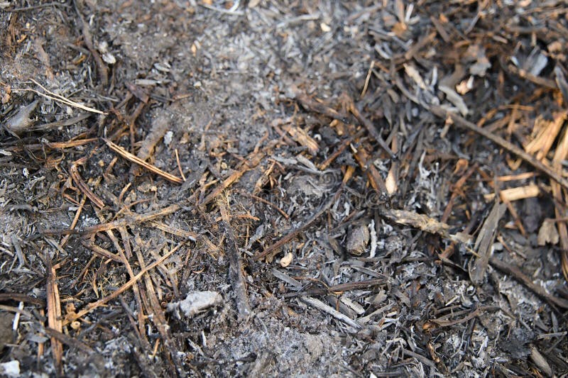 Burnt Ground with Ash and Debris from a Recent Fire Stock Image - Image ...