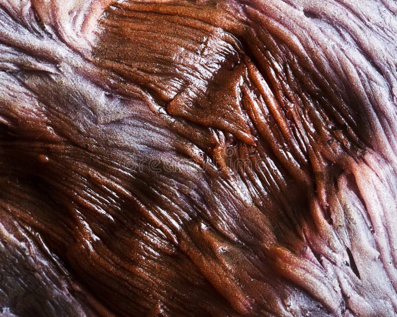 Burnt human skin stock photo. Image of close, damaged - 26111000