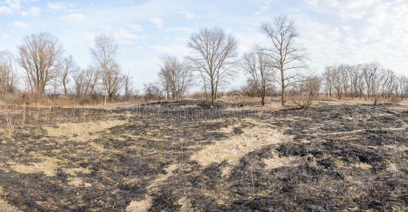 Devasted Land Stock Photos - Free & Royalty-Free Stock Photos from ...