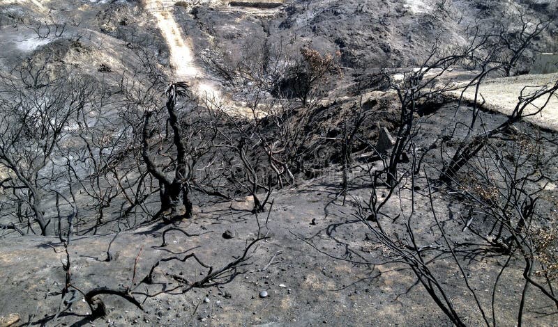 Burnt Landscape stock image. Image of destruction, aftermath - 70250293