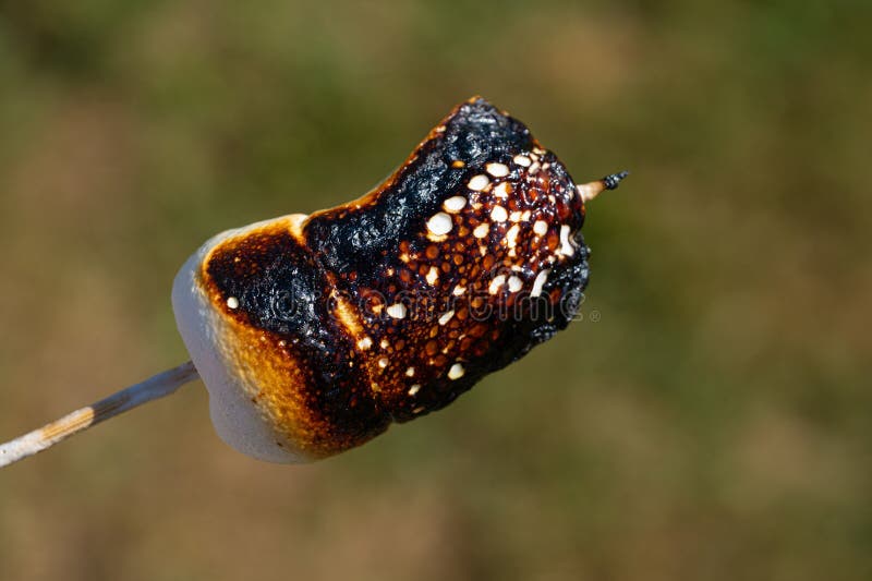 Burnt Marshmallow on a Stick.. Stock Photo - Image of macro, chocolate ...