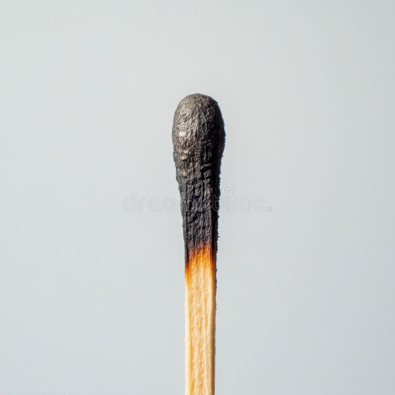 Burnt Matchstick Standing Upright on White Background Stock ...