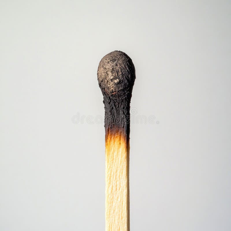 Burnt Matchstick Standing Upright on White Background Stock ...