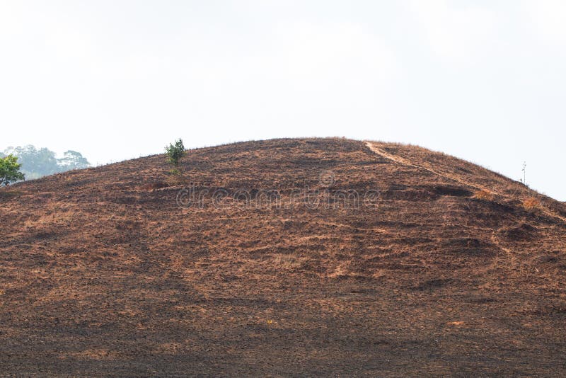 Burnt after a Mountain Fire Stock Photo - Image of burnt, disaster ...