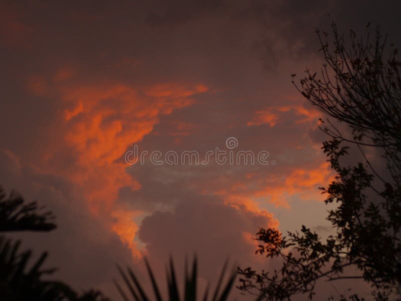 Burnt orange sunset stock image. Image of dawn, night - 193620295