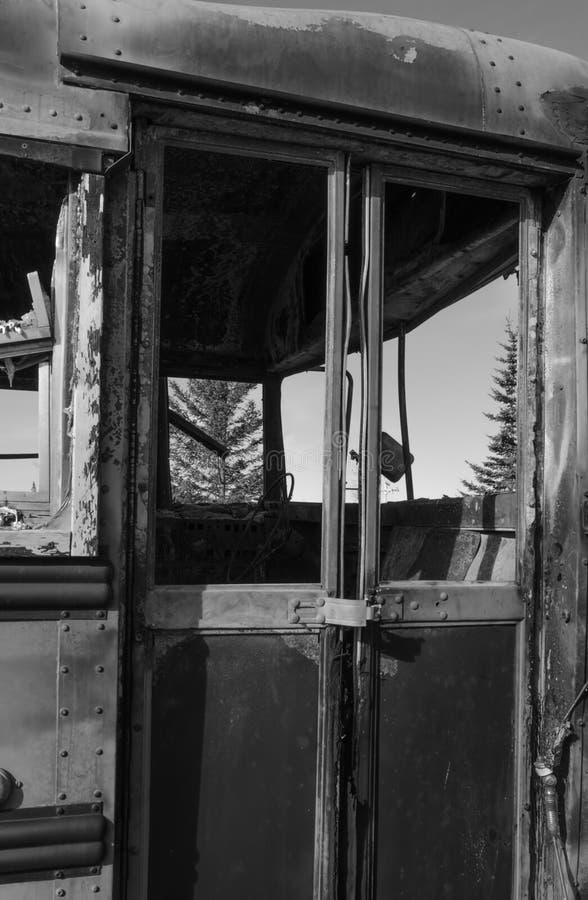 School Bus Shell Stock Photos - Free & Royalty-Free Stock Photos from ...