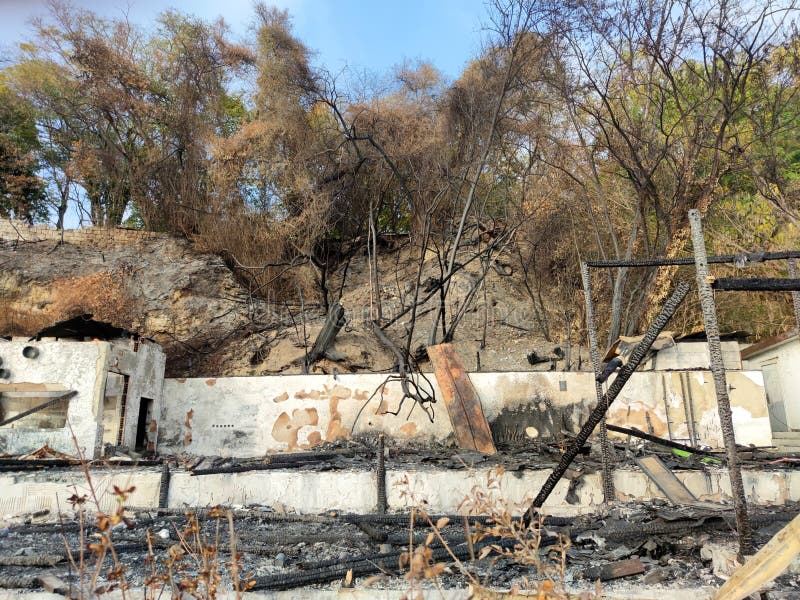 A Burnt-out Street Cafe Against the Backdrop of Charred Trees Stock ...