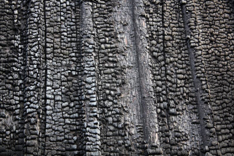 Burnt Panel stock photo. Image of lines, damaged, wood - 7598138