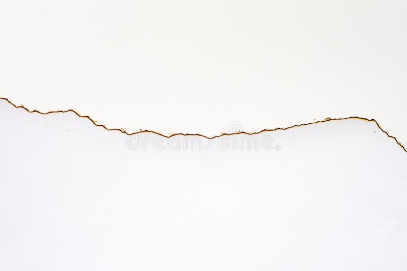 Line of Burnt Matches and One Brand New. Individuality, Leadership ...