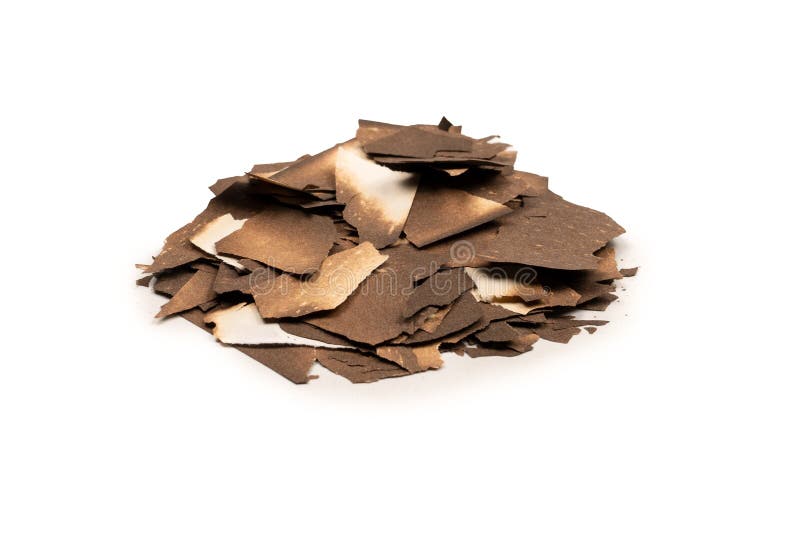 Burnt Paper Isolated on a White Background Stock Photo - Image of scrap ...
