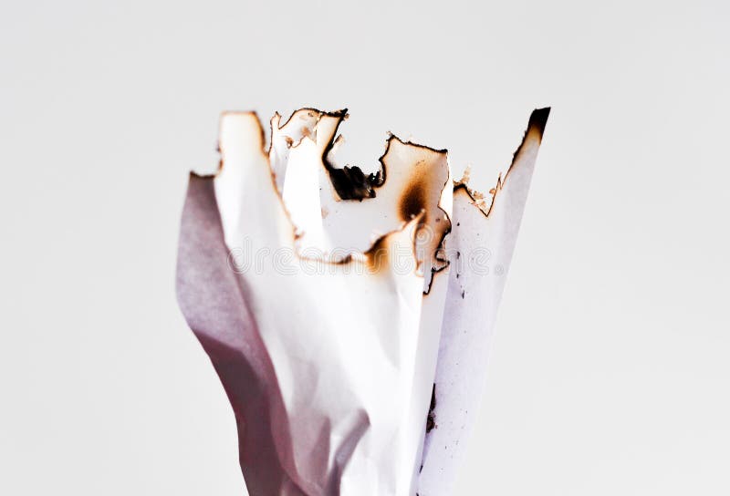 Burnt Paper roll stock photo. Image of copy, remains - 233705518