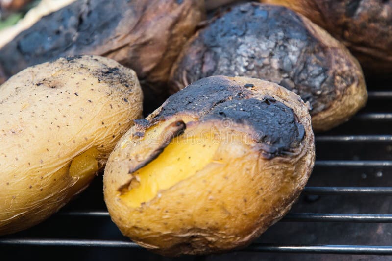 Burnt potato on the grill stock photo. Image of overcooked - 325414010