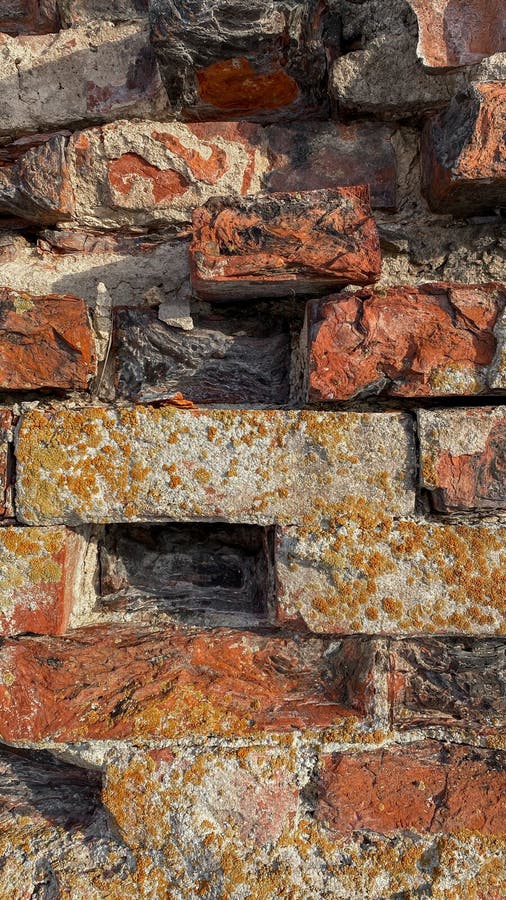 Burnt Relief of the Wall. Moss on Old Brick Stock Photo - Image of ...