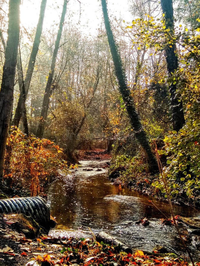Burnt Ridge Trail River Sunny Stock Photo - Image of burnt, ridge ...