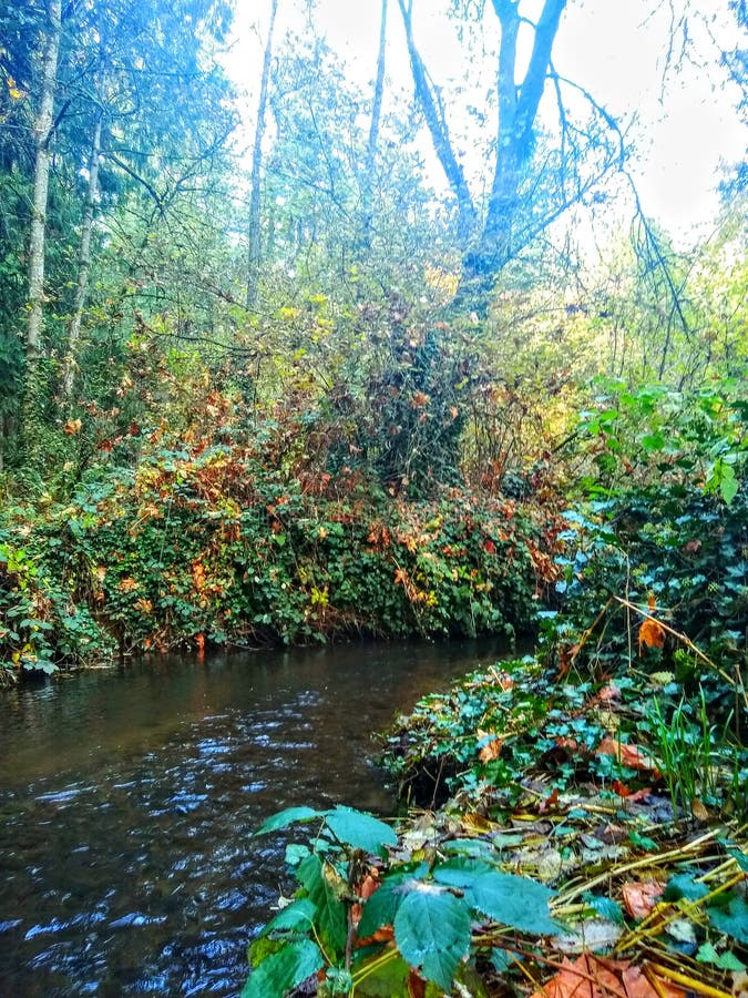Burnt Ridge Trail River Sunny Stock Photo - Image of sunny, trail ...