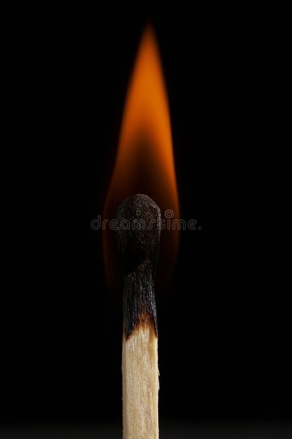 Burnt, Close-up, Macro Picture. Image: 109892278