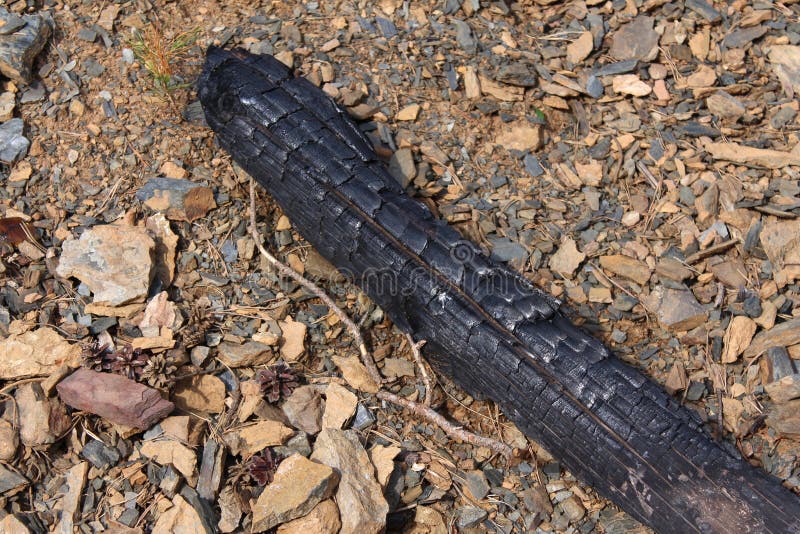 A Burnt Stick Lies Amongst a Pile of Rock and Ash Stock Photo - Image ...