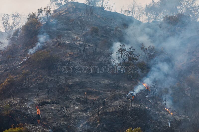 Burnt Surface of the Earth after a Forest Fire Stock Image - Image of ...